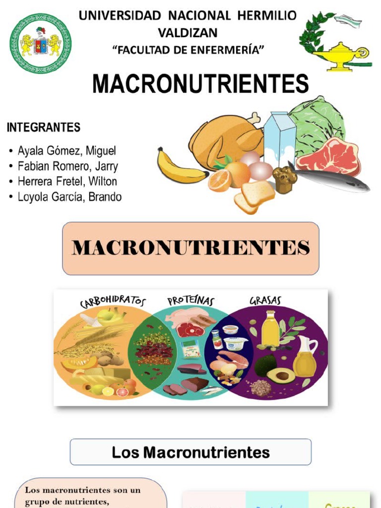 Guía sobre Macronutrientes y Energía | PDF | Caloría | Nutrientes