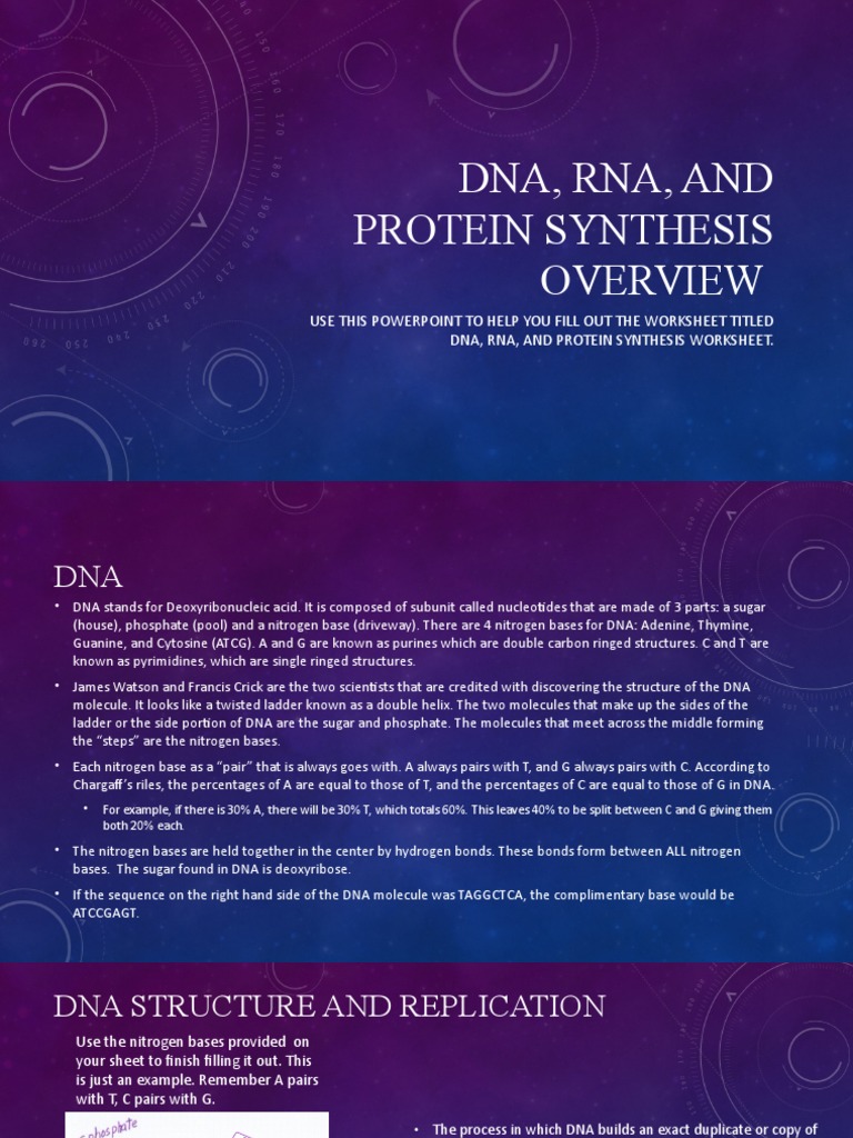 DNA_RNA_and_Protein_synthesis_WS_PPT | PDF | Dna | Rna