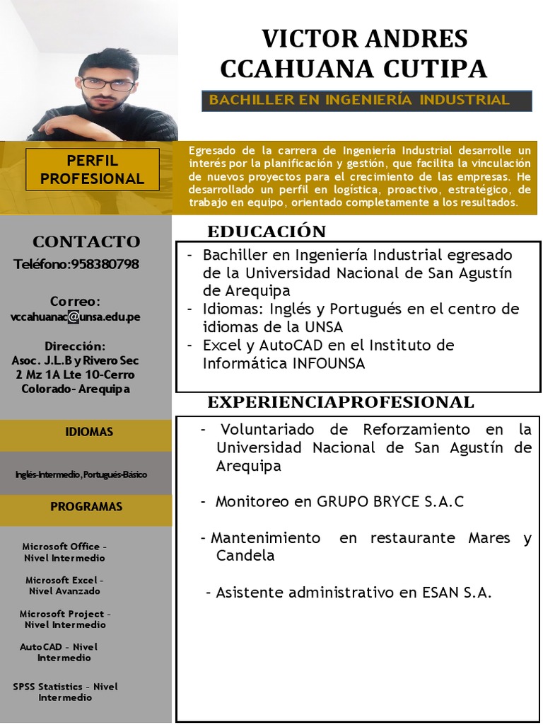 CV - Ccahuana Cutipa Victor Andres PDF | PDF