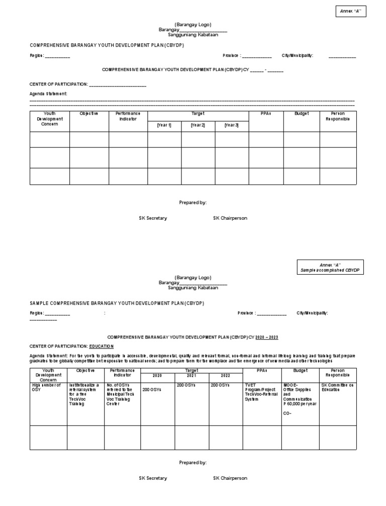 Comprehensive Barangay Youth Plan Sample | PDF