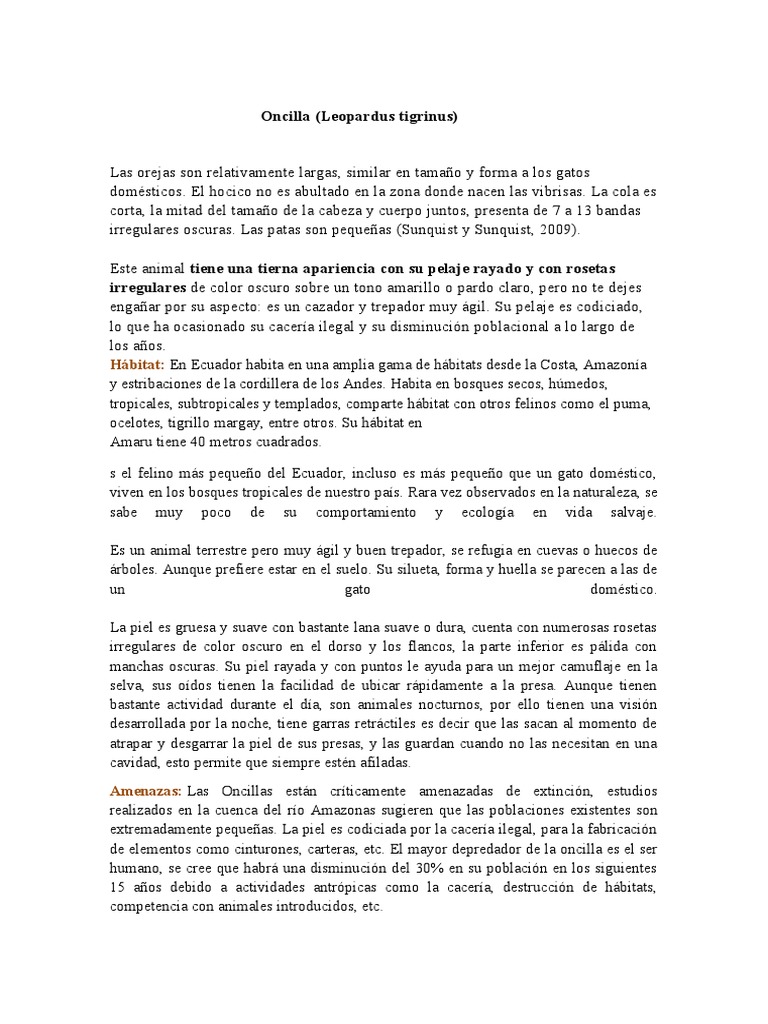 Oncilla | PDF | Gatos