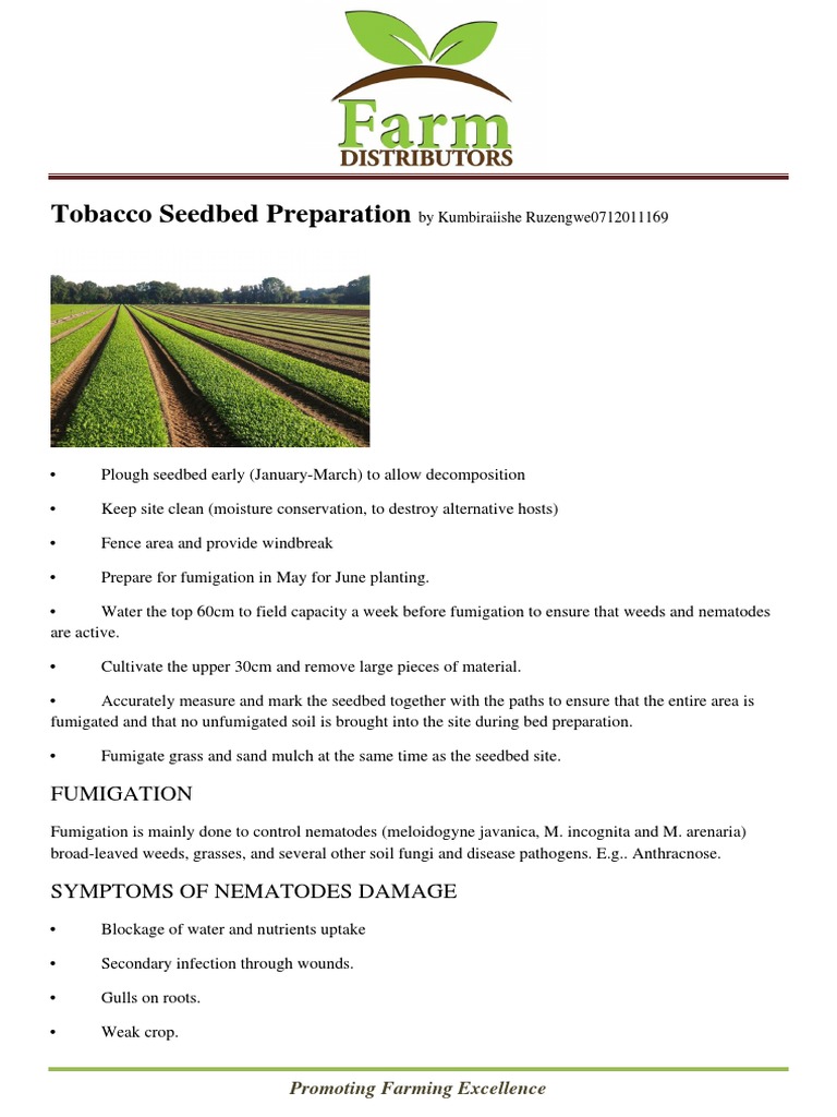 Tobacco Seedbed Preparation PDF | PDF