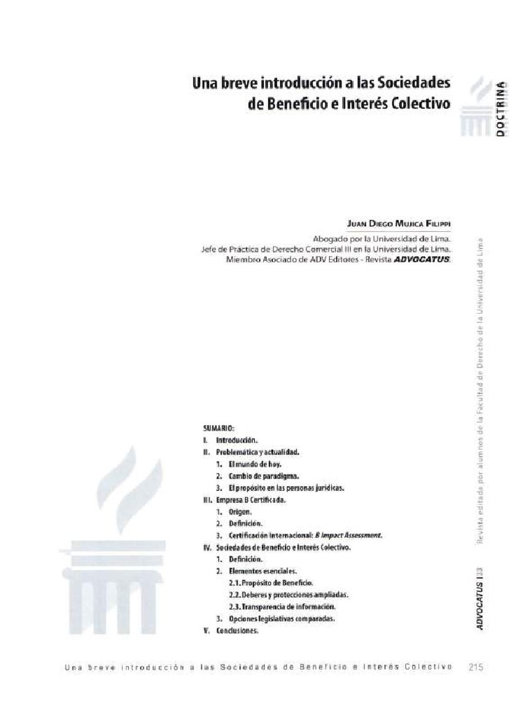 Sociedades BIC Manual | PDF