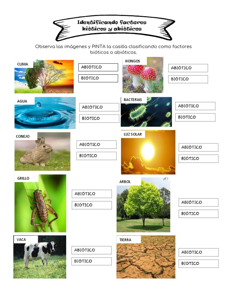 Identificando y clasificando factores bióticos y abióticos en el ...