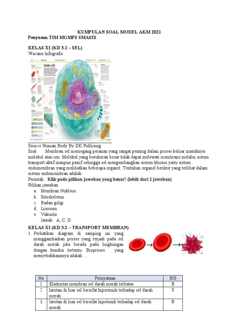 Soal AKM Kelas Xi MWR | PDF