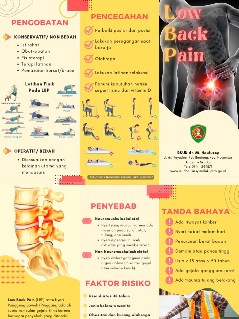 Leaflet - Nyeri Pinggang - Low Back Pain (LBP) - RSUD Dr. M. Haulussy | PDF