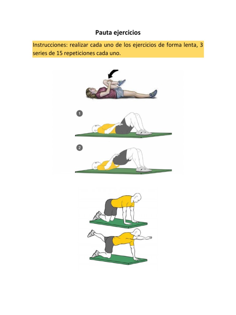 Pauta Ejercicios | PDF