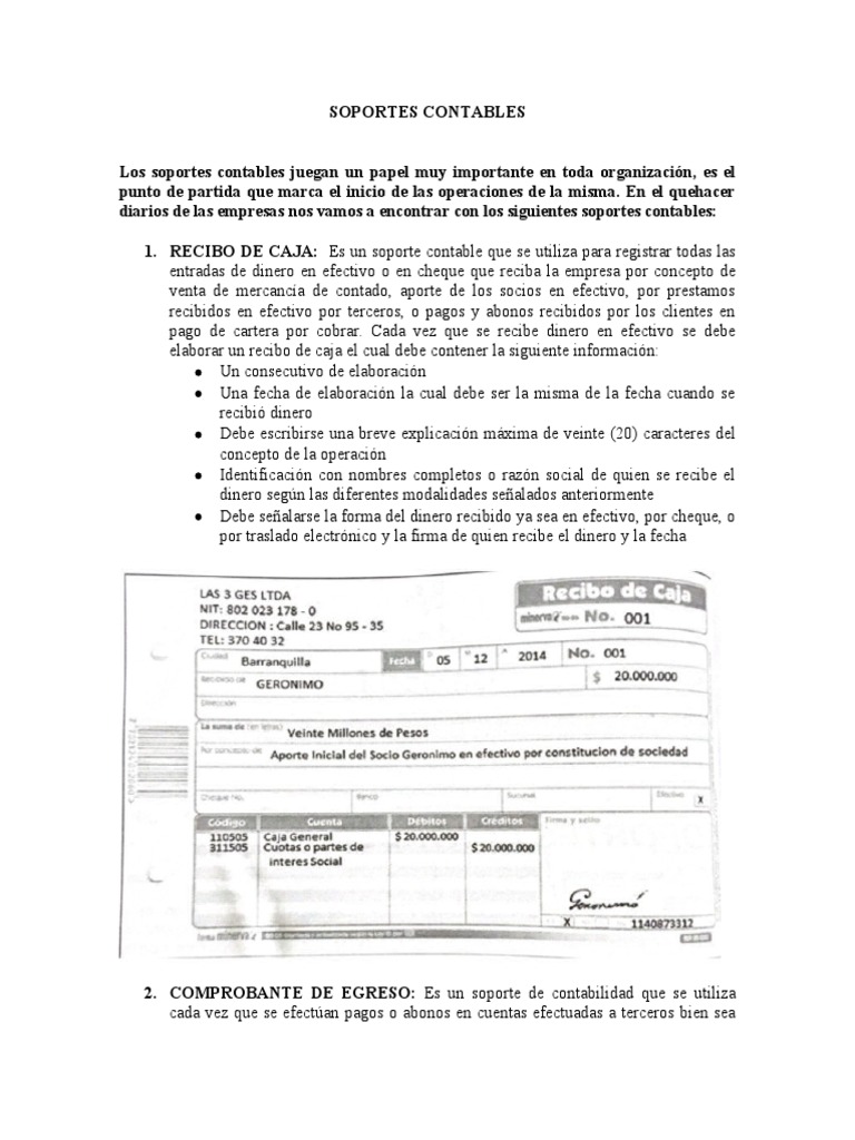 Soportes Contables | PDF | Contabilidad | Factura