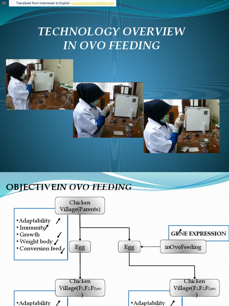 Teknologi in Ovo Feeding - Id.eng | PDF | Broiler | Chicken