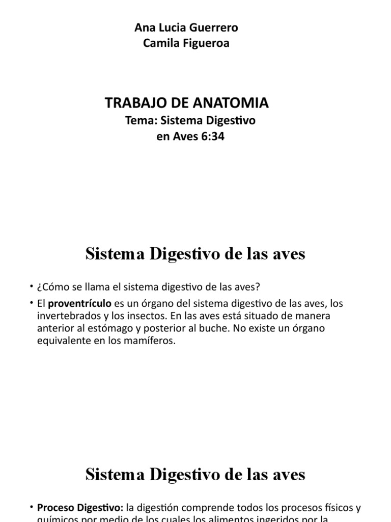 Sistema Digestivo de Las Aves | PDF | Sistema digestivo humano | Estómago