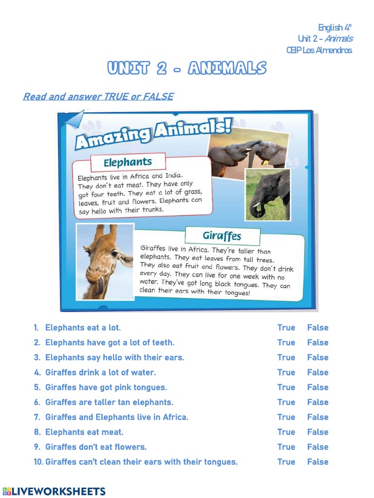 Unit 2 - Animals | PDF