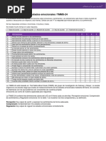 Ficha Tecnica Del TMMS-24 | PDF