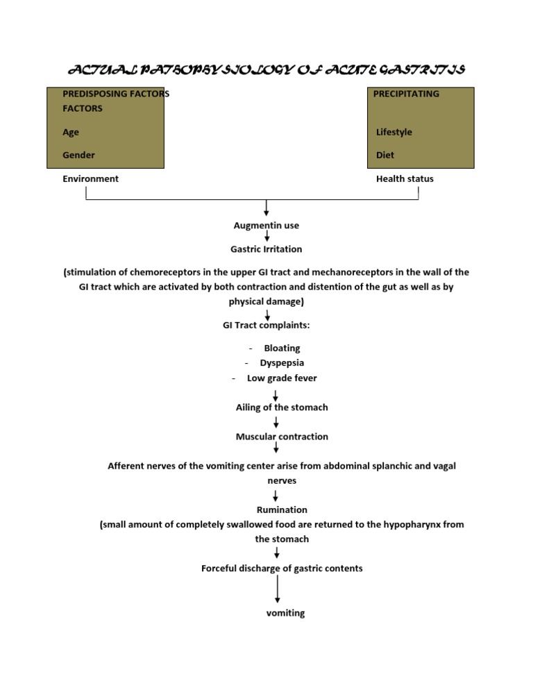 Acute Gastritis Pathophysiology Overview | PDF | Technology & Engineering