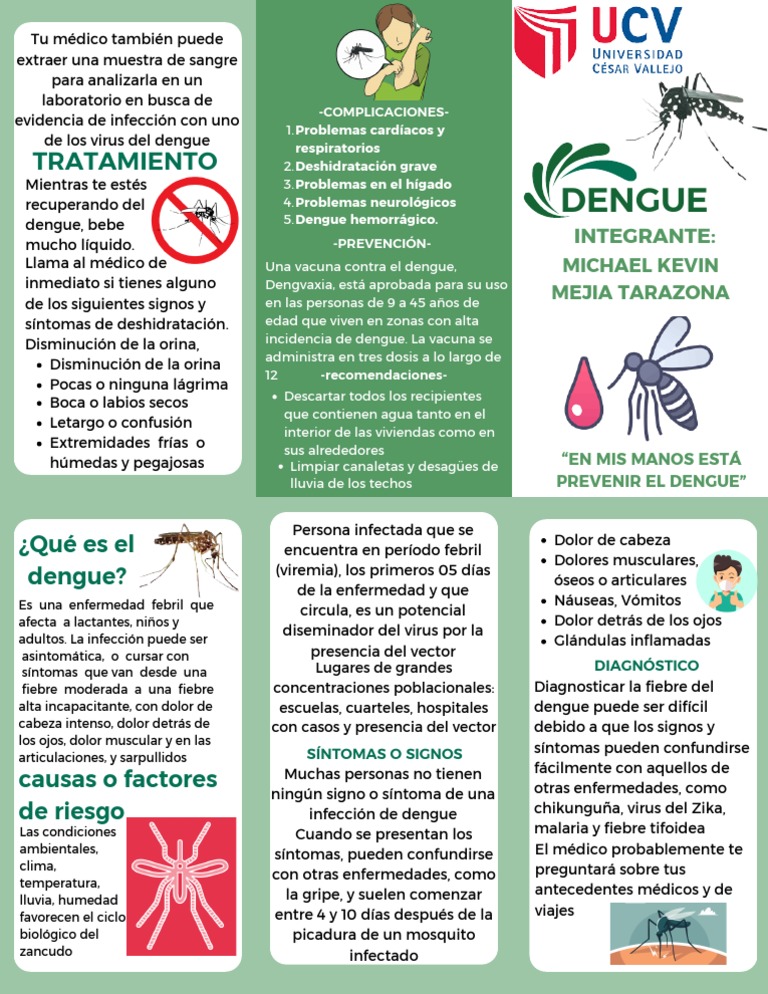 dengue tríptico | PDF | Síntoma | Medicina dengue tríptico | PDF | Síntoma | Medicina