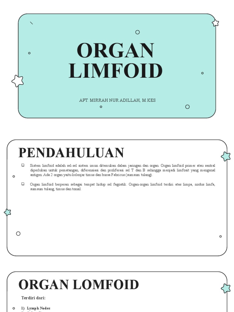 Immunology - Organ Limfoid | PDF