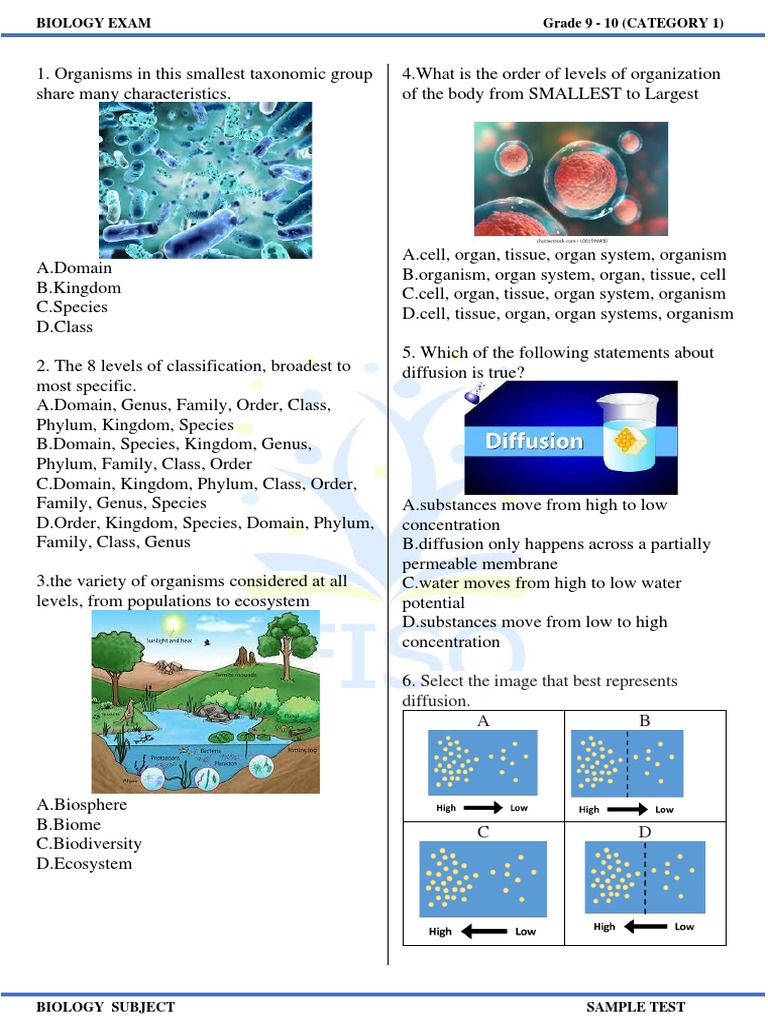 Biology Category 1 9th - 10th Grades SAMPLE TEST | PDF