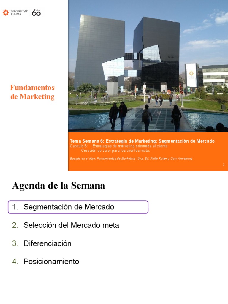 Semana 6 - Segmentación y Segmento Meta (Capítulo 6) | PDF
