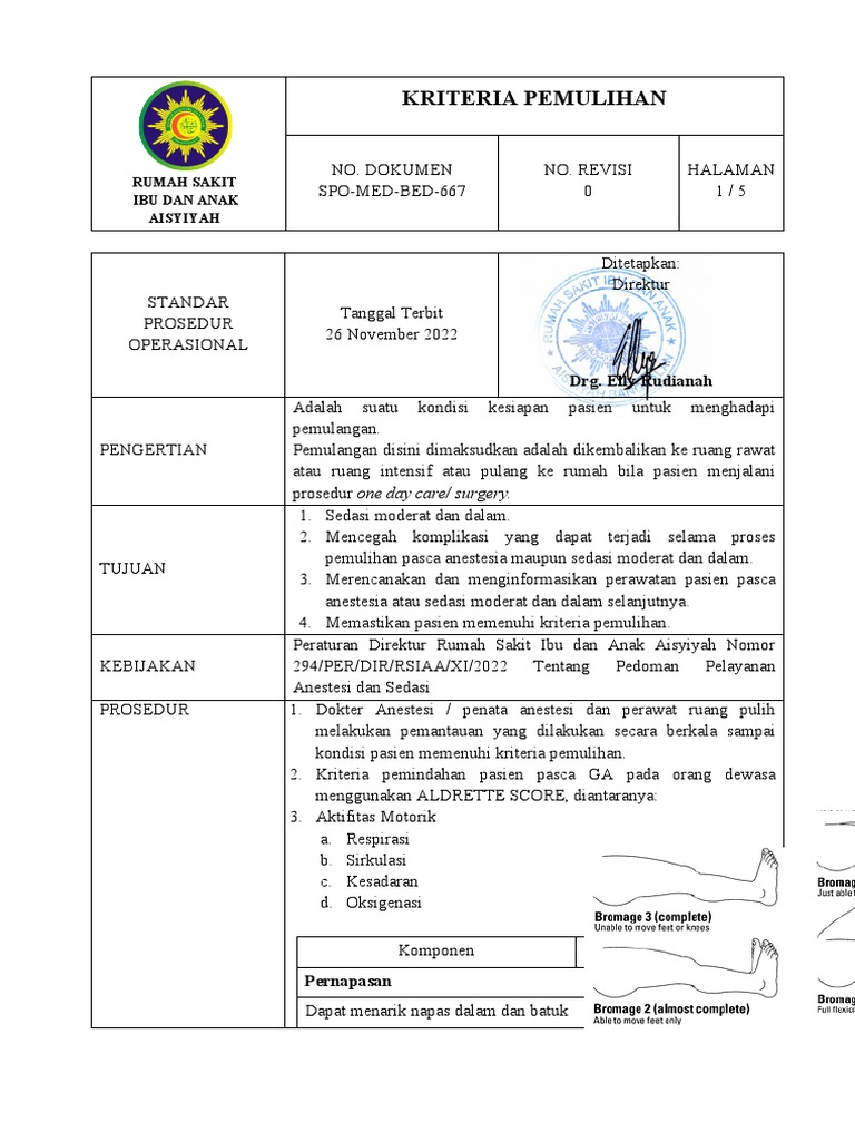 Spo Kriteria Pemulihan Pasca Anestesi Dan Sedasi | PDF