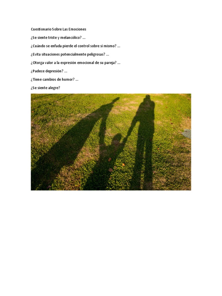 Cuestionario Sobre Las Emociones | PDF