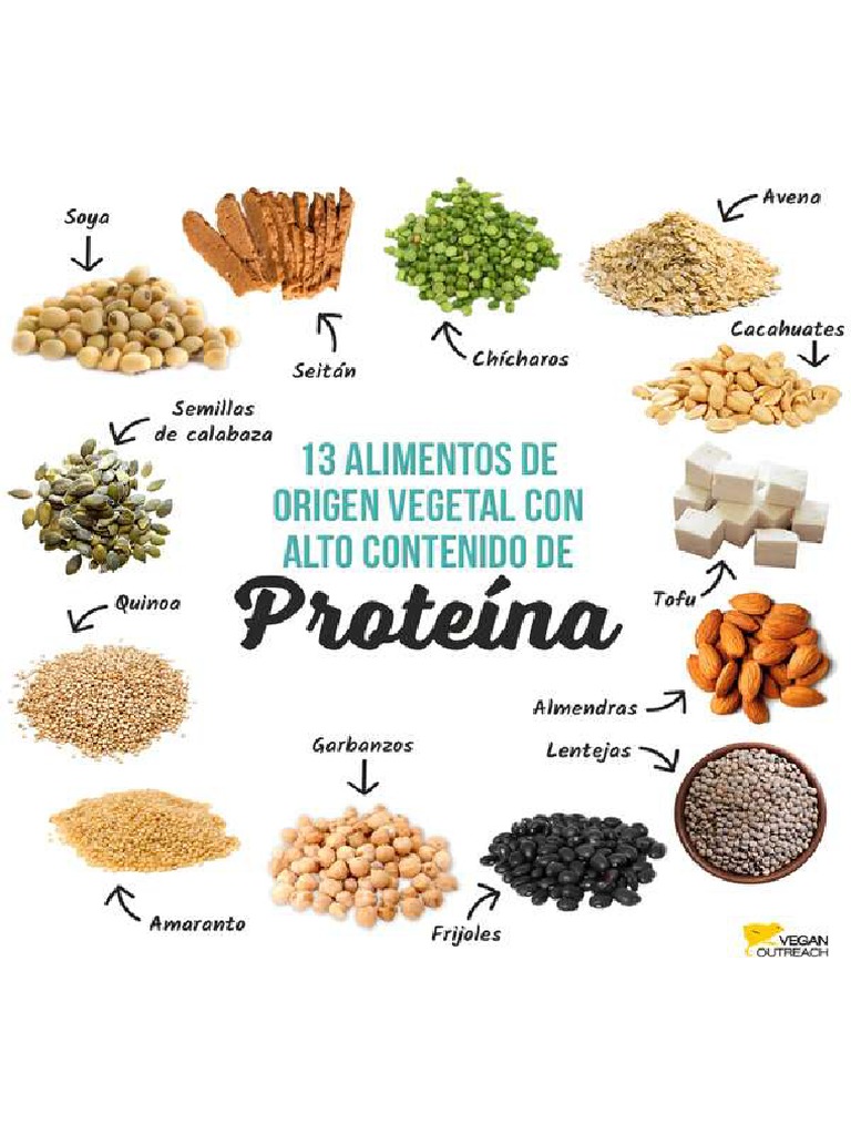 Protein Spanish | PDF