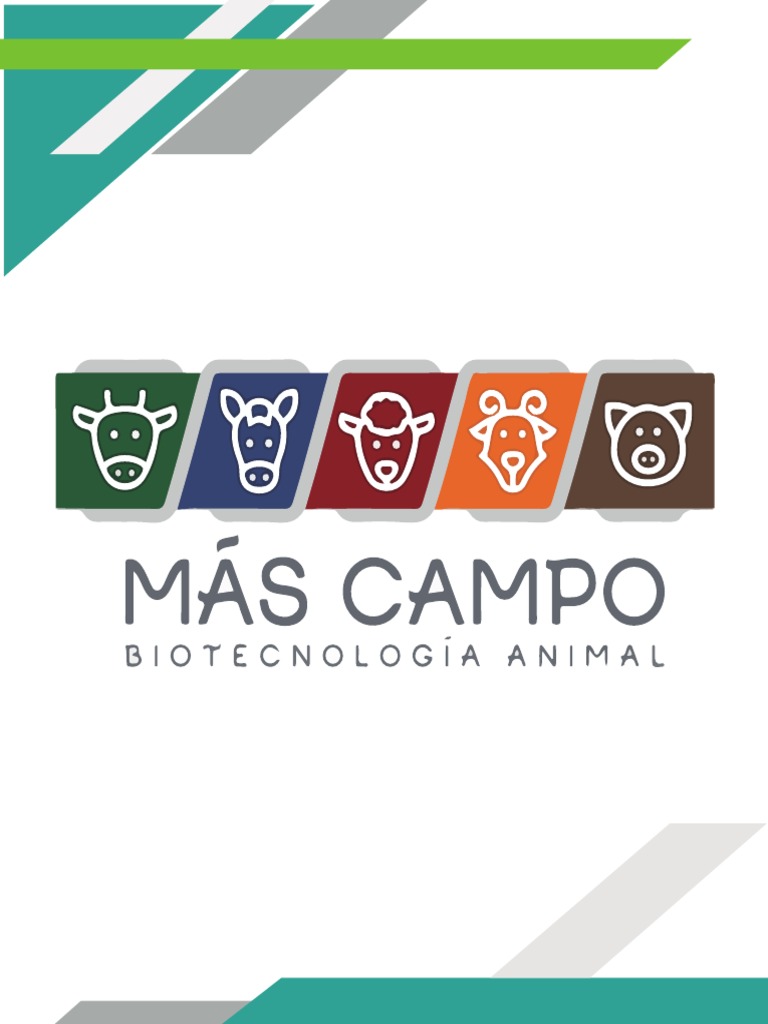 Catalogo Mas Campo Isperm PDF | PDF
