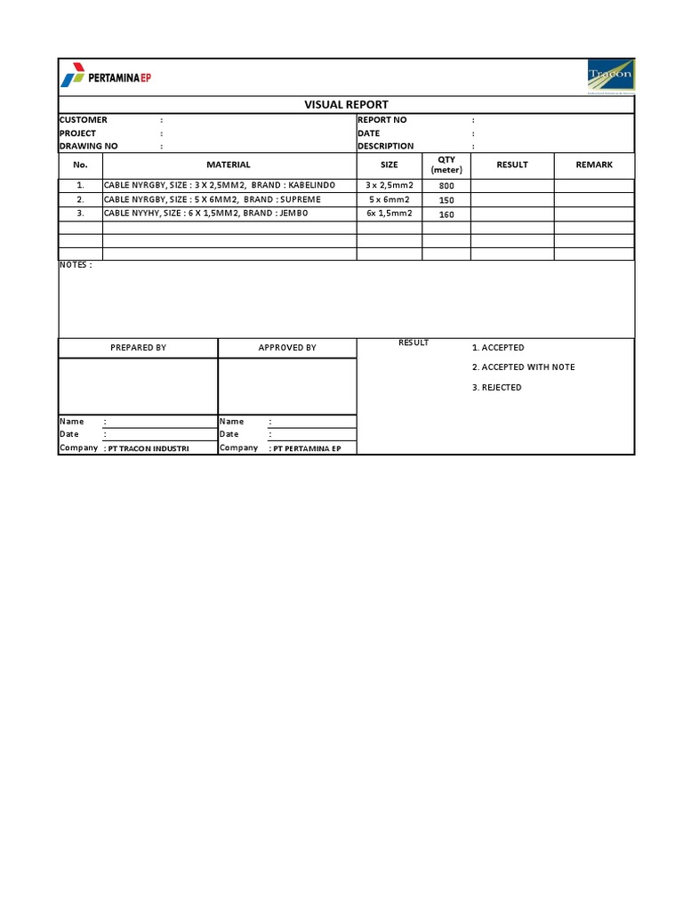 VISUAL Report PDF