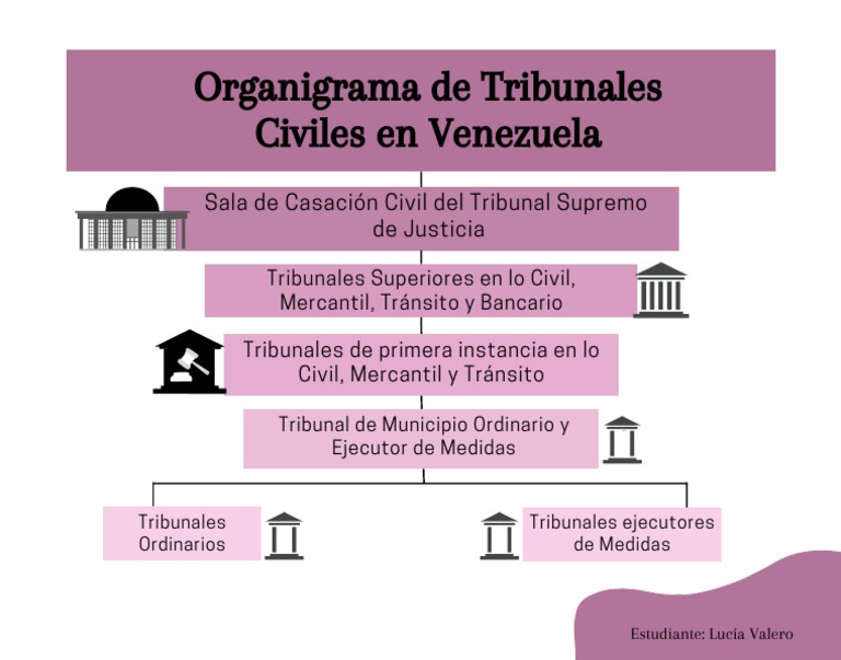 Estructura de los Tribunales en Venezuela | PDF | Derecho
