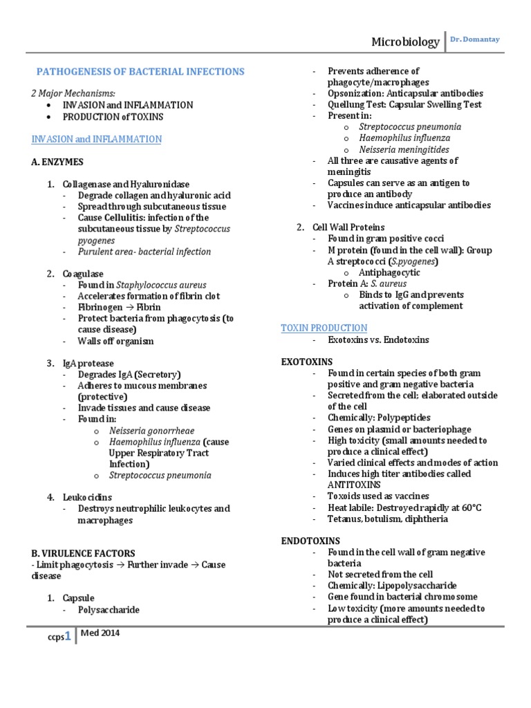Pa Tho Genesis of Bacterial Infections | PDF | Lipopolysaccharide ...