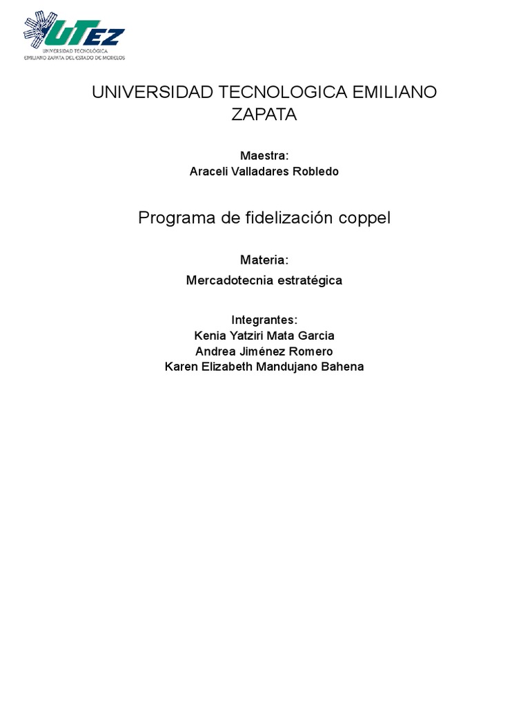Proyecto de Coppel | PDF | Marketing | Auditoría