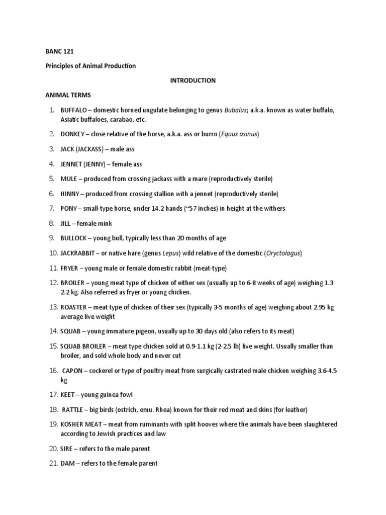 Animal Production Terminology Guide | PDF | Donkey | Cattle