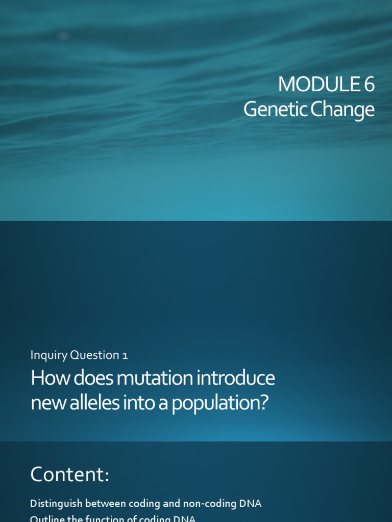 04 Coding and Non Coding DNA | PDF | Mutation | Gene