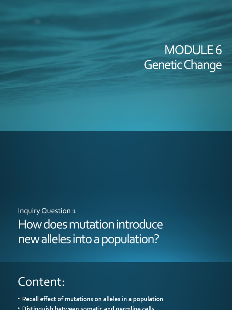03 Somatic and Germline Mutations | PDF 03 Somatic and Germline Mutations | PDF