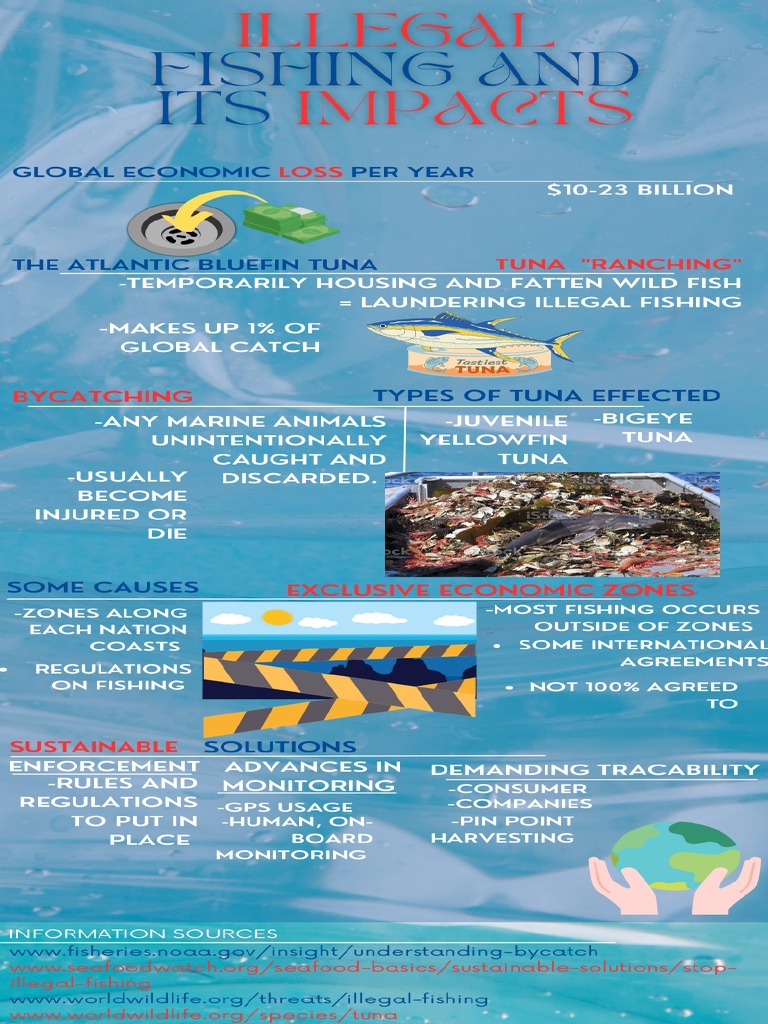 Illegal Fishing Infographic | PDF