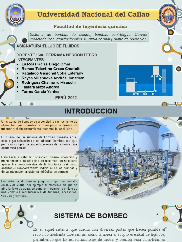 Grupo 6 - Sistema de Bombas | PDF | Bomba | Presión