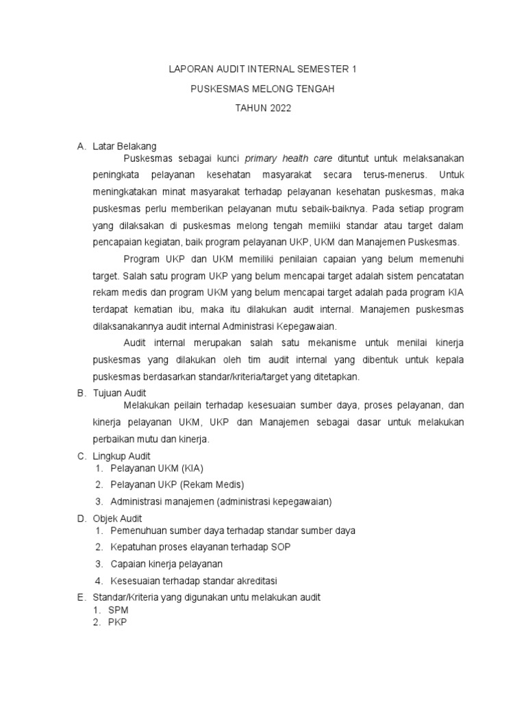 Laporan Audit Internal | PDF