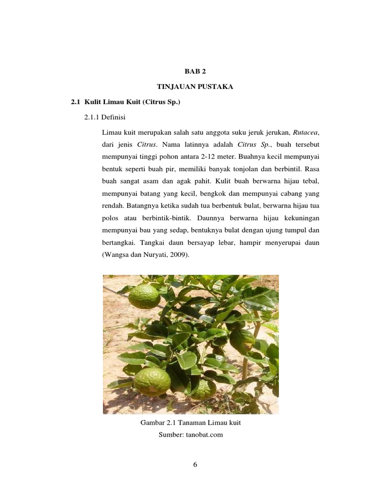 Bab 2 | PDF | Griya & Taman | Sains & Matematika