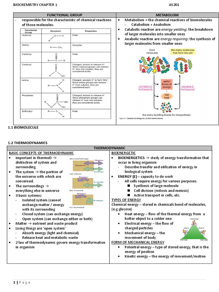 Chapter 1 Bio462 Notes | PDF