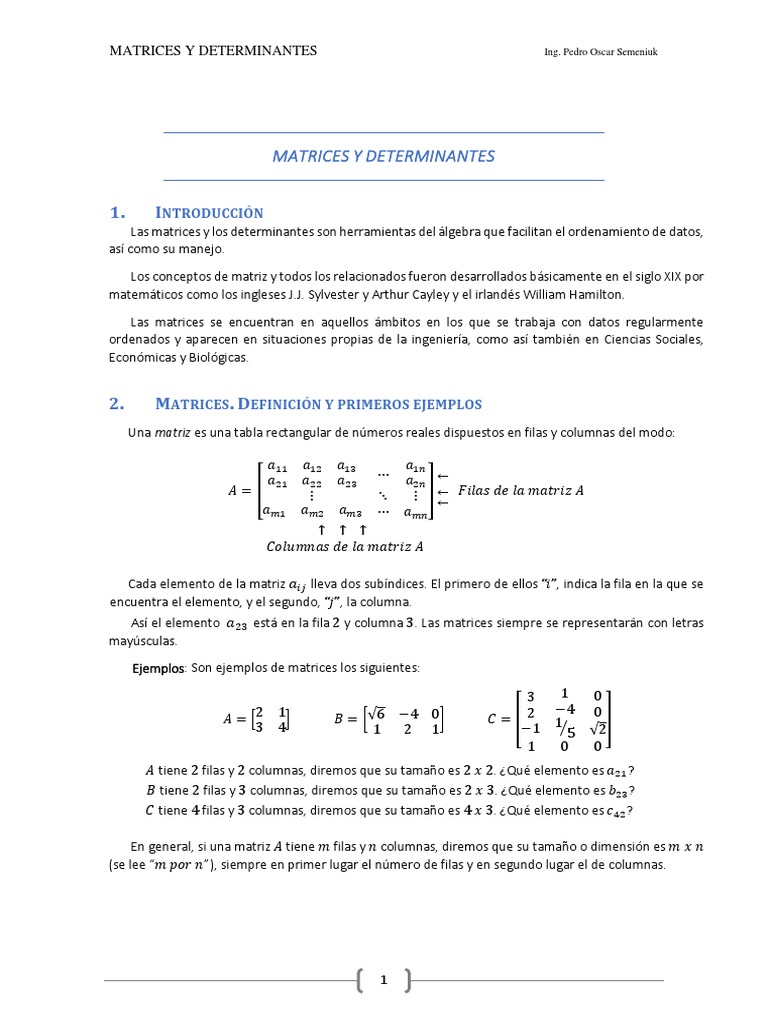Matrices y Determinantes Final | PDF | Matriz (Matemáticas) | Determinante