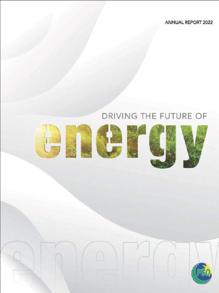 PDF | PDF | Accounting | Governance