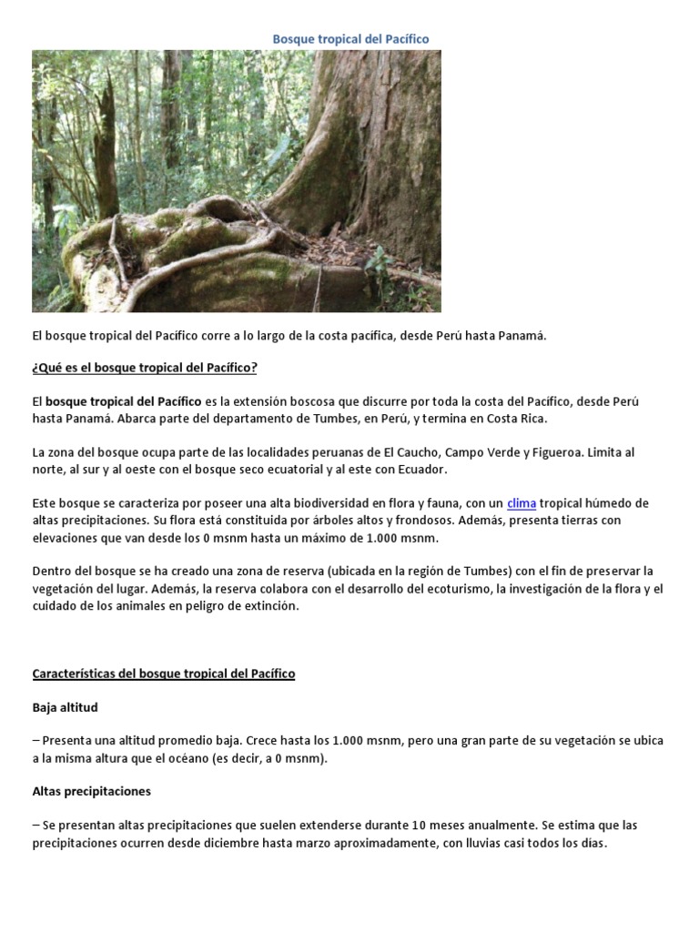 Flora y fauna del bosque tropical pacífico | PDF | Zona tropical | Los ...