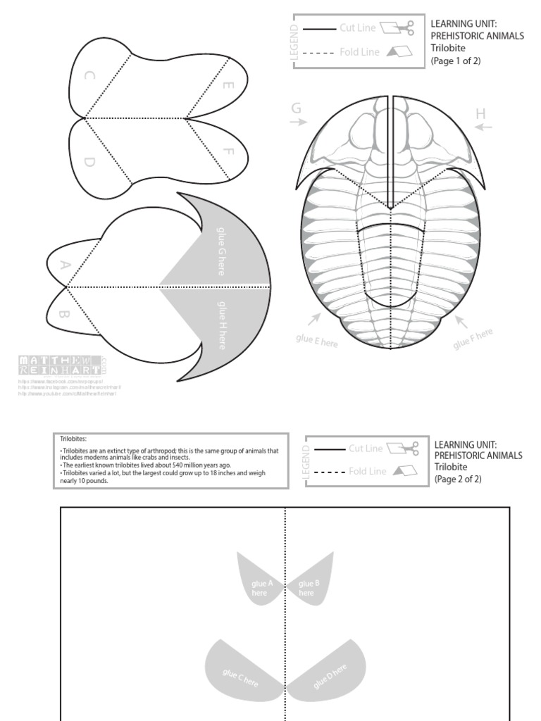 DIY Trilobite | PDF