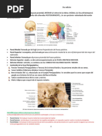 4 Fosas Nasales & Senos Paranasales | PDF | Nariz humana | Anatomía