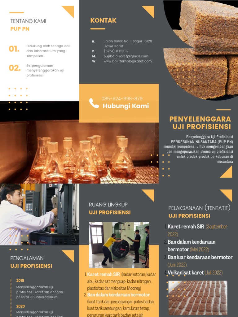 Brosur Program PUP PDF | PDF