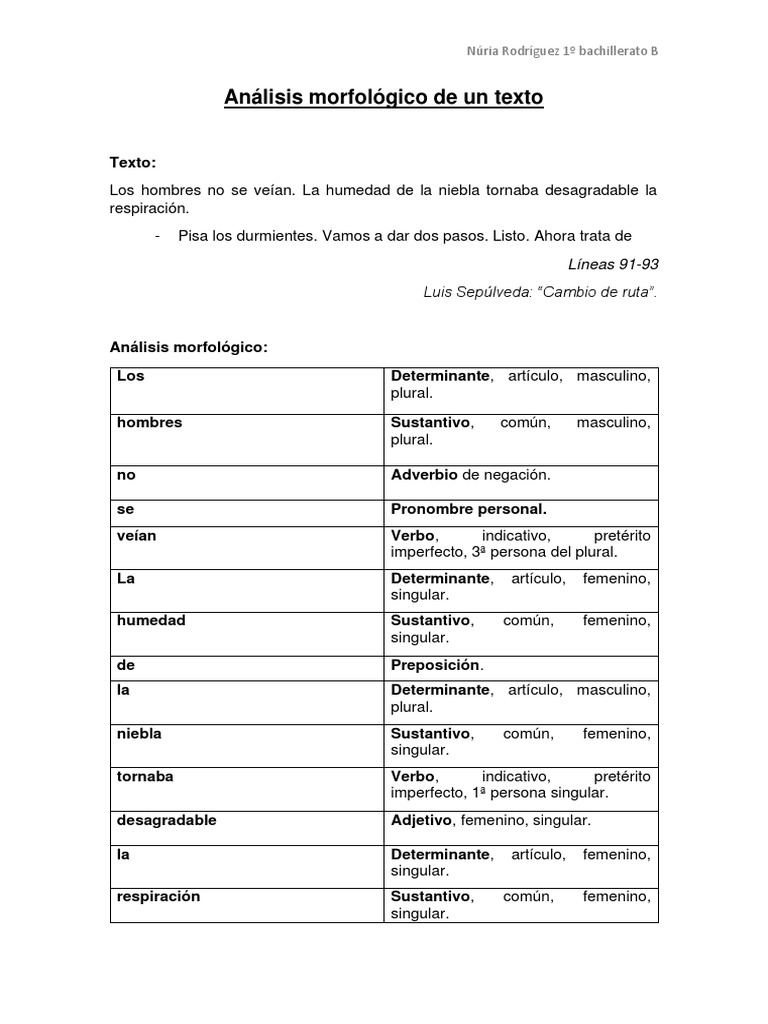 Analisis Morfologico | PDF | Plural | Sustantivo
