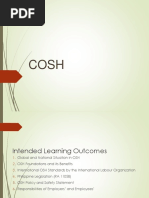 Cosh 1 | PDF | Occupational Safety And Health | Safety