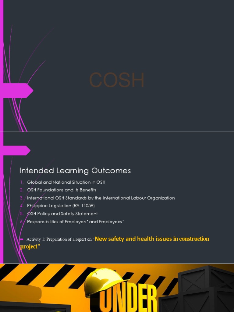 Chapter 1 - Global and National Situation in OSH | PDF