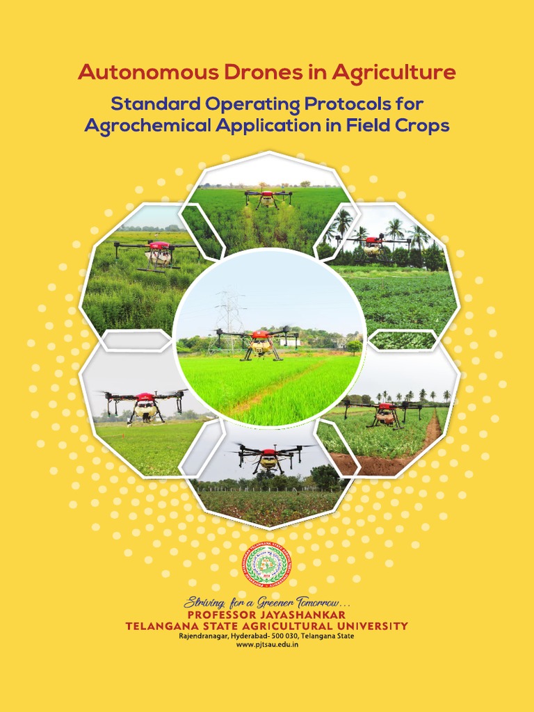 Autonomous Drones Pjtsau | PDF