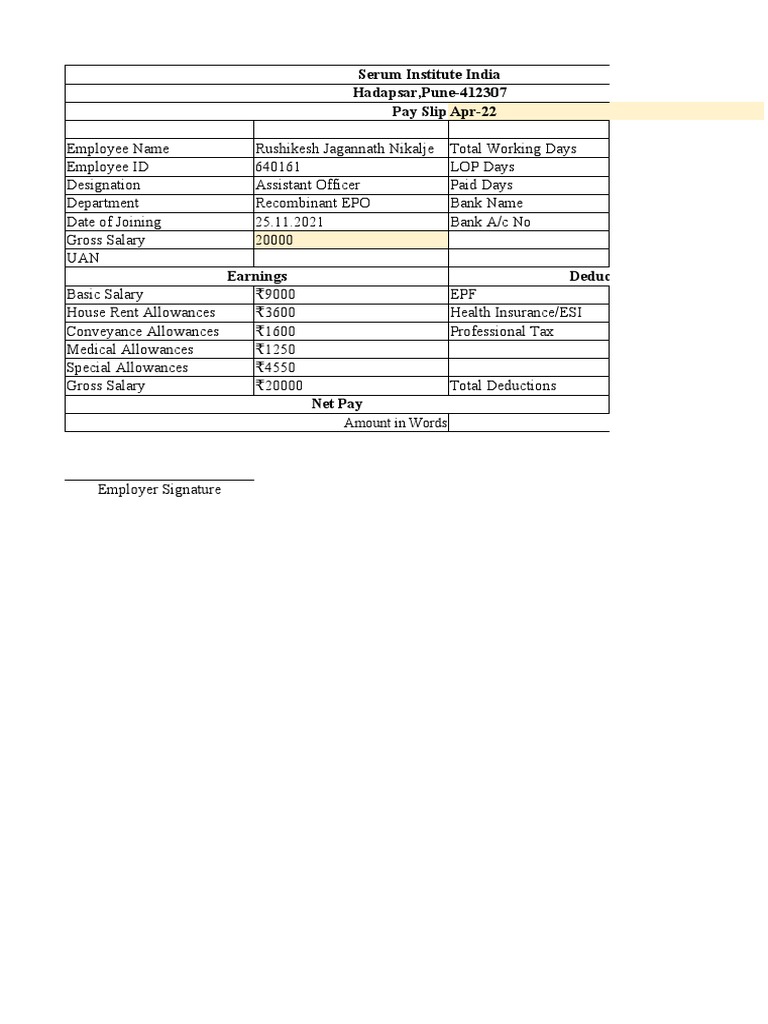 Rushi Salery Slip | PDF