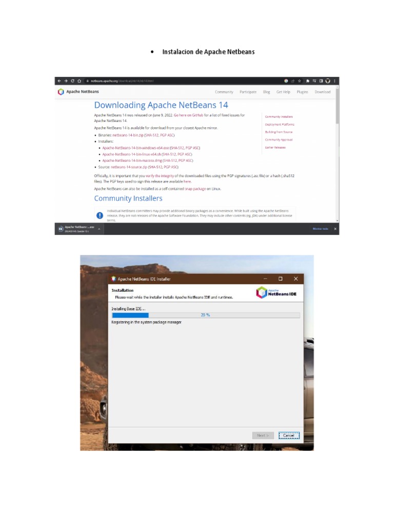 Instalacion de JDK 17 y Apache Netbeans PDF | PDF