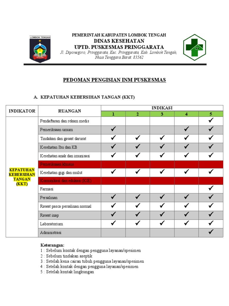 Pedoman Pengisian Inm Puskesmas | PDF